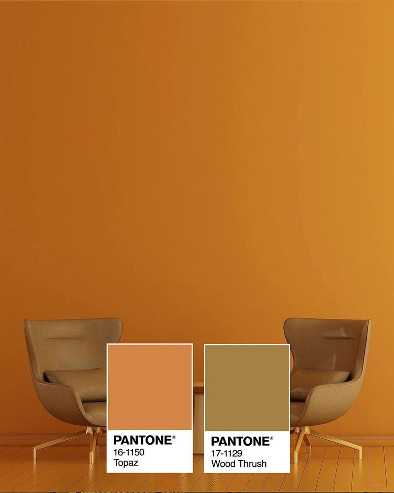 秋天是懂配色的，用PANTONE暖色调点亮生活 _ 千通彩色彩管理官网